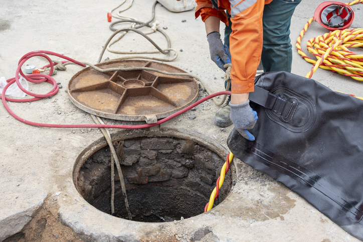 The Role of Drain Cleaning in Preventing Mold and Mildew Growth - Green ...